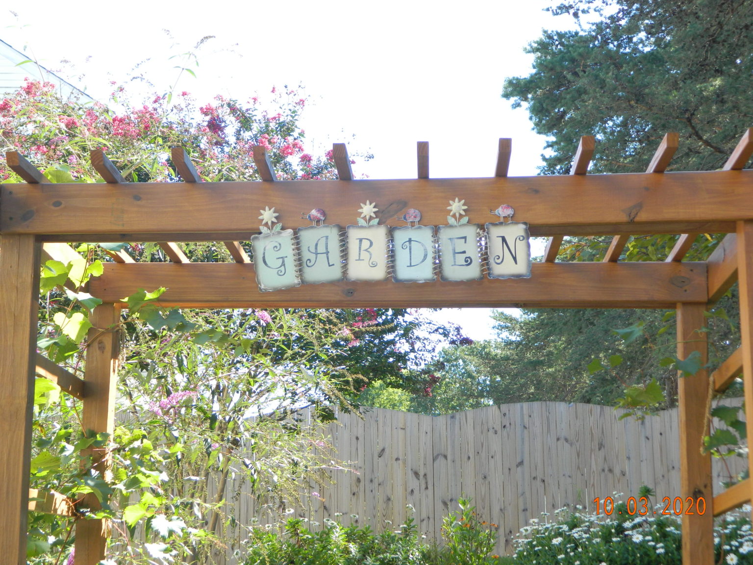 Happy Fall and Lovely Flowers